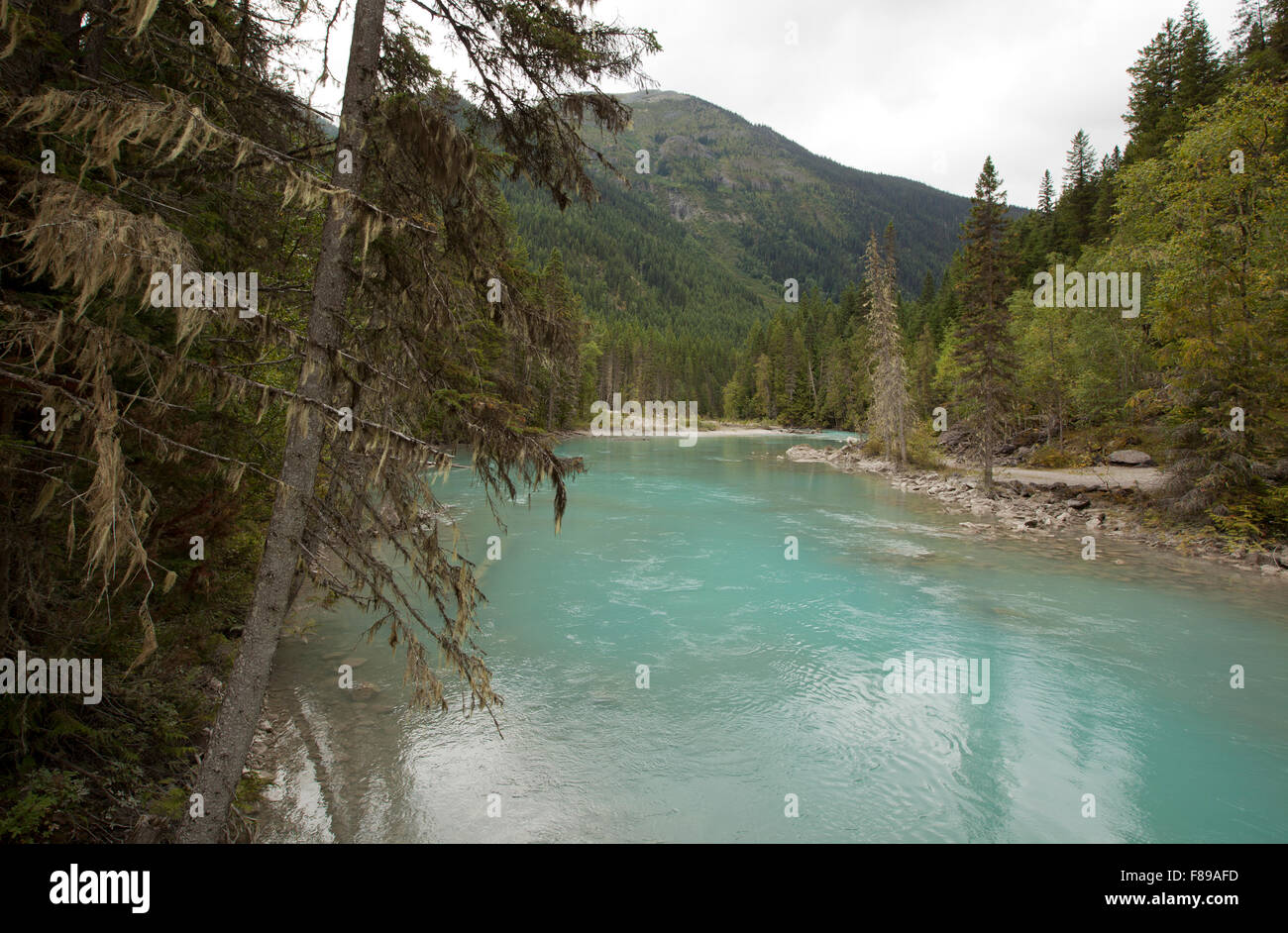 fraser river bc canada Stock Photo - Alamy