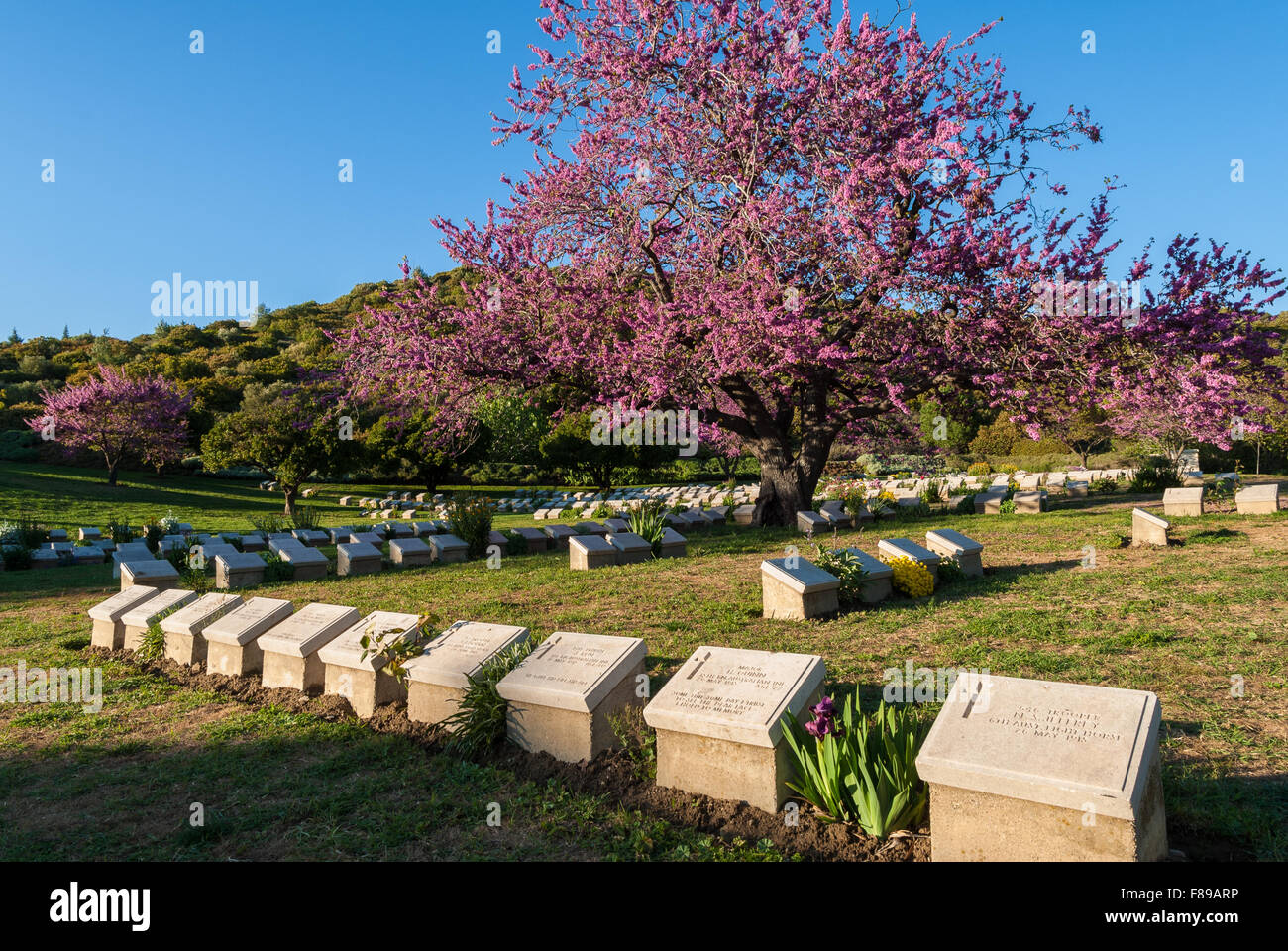 The Shrapnel Valley Cemetery on April 18, 2014 at the Gallipoli Peninsula, Turkey. T Stock Photo ...