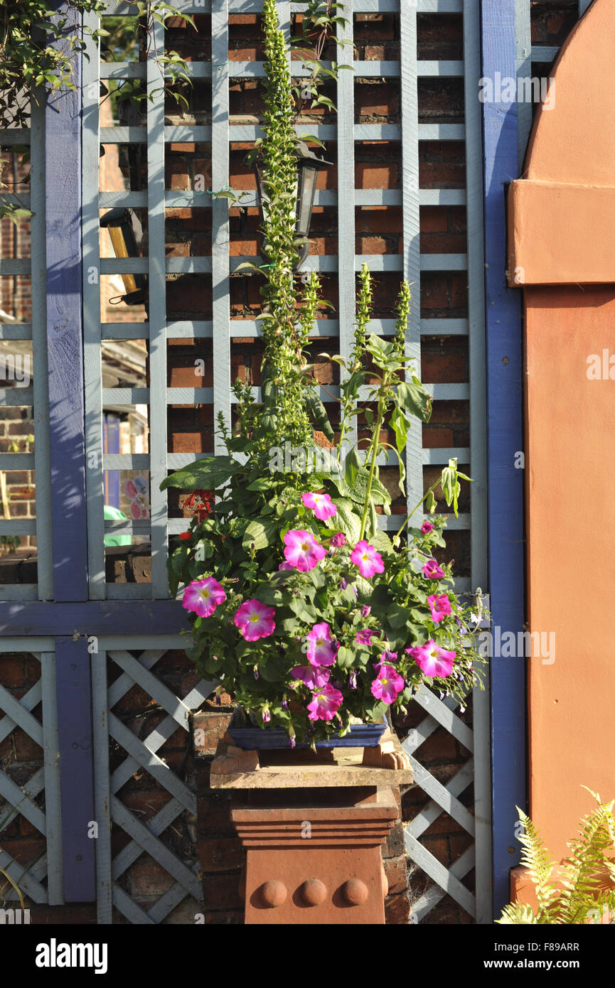 Back garden with trellis and mirror Stock Photo - Alamy