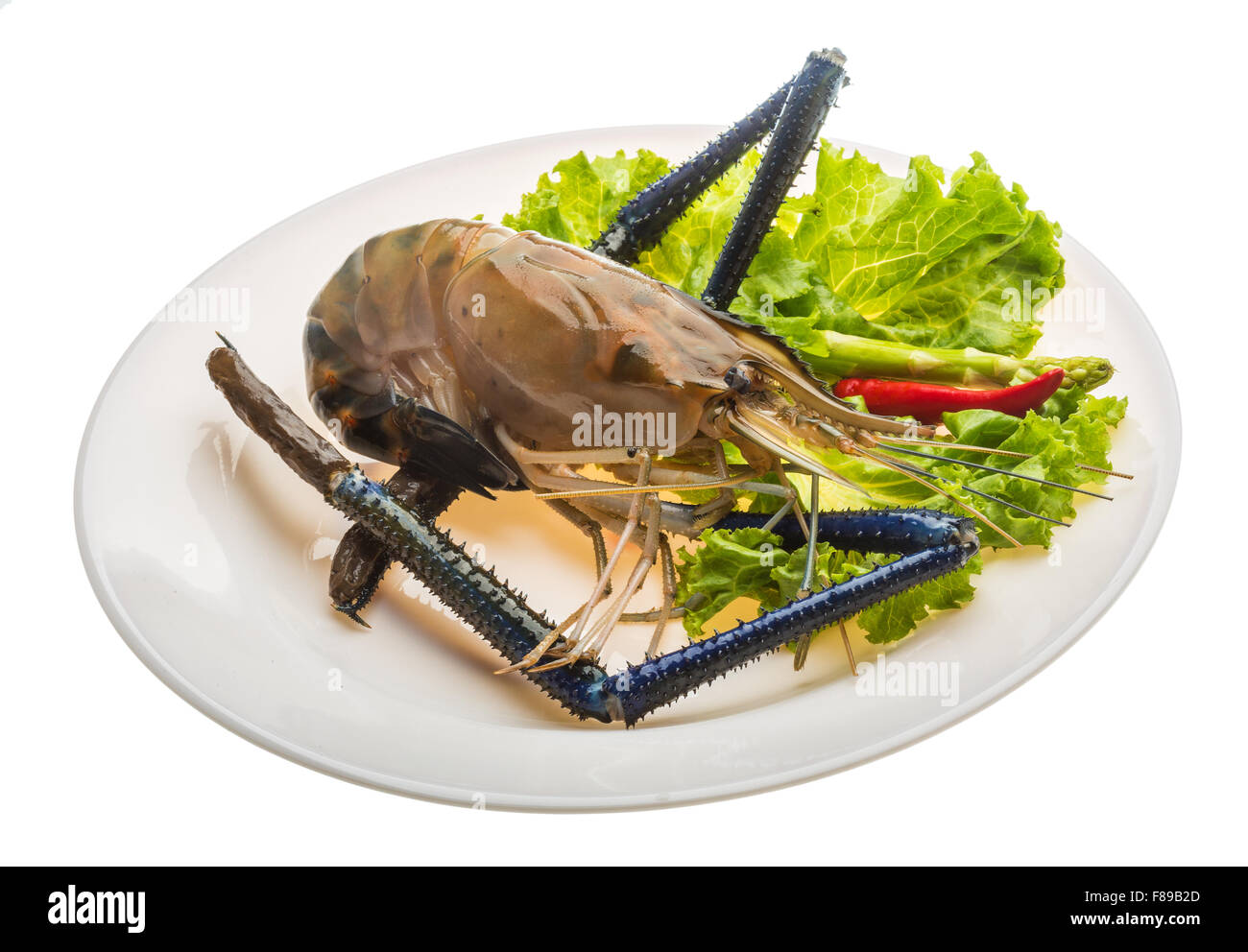 Big Freshwater prawn ready for cooking Stock Photo - Alamy