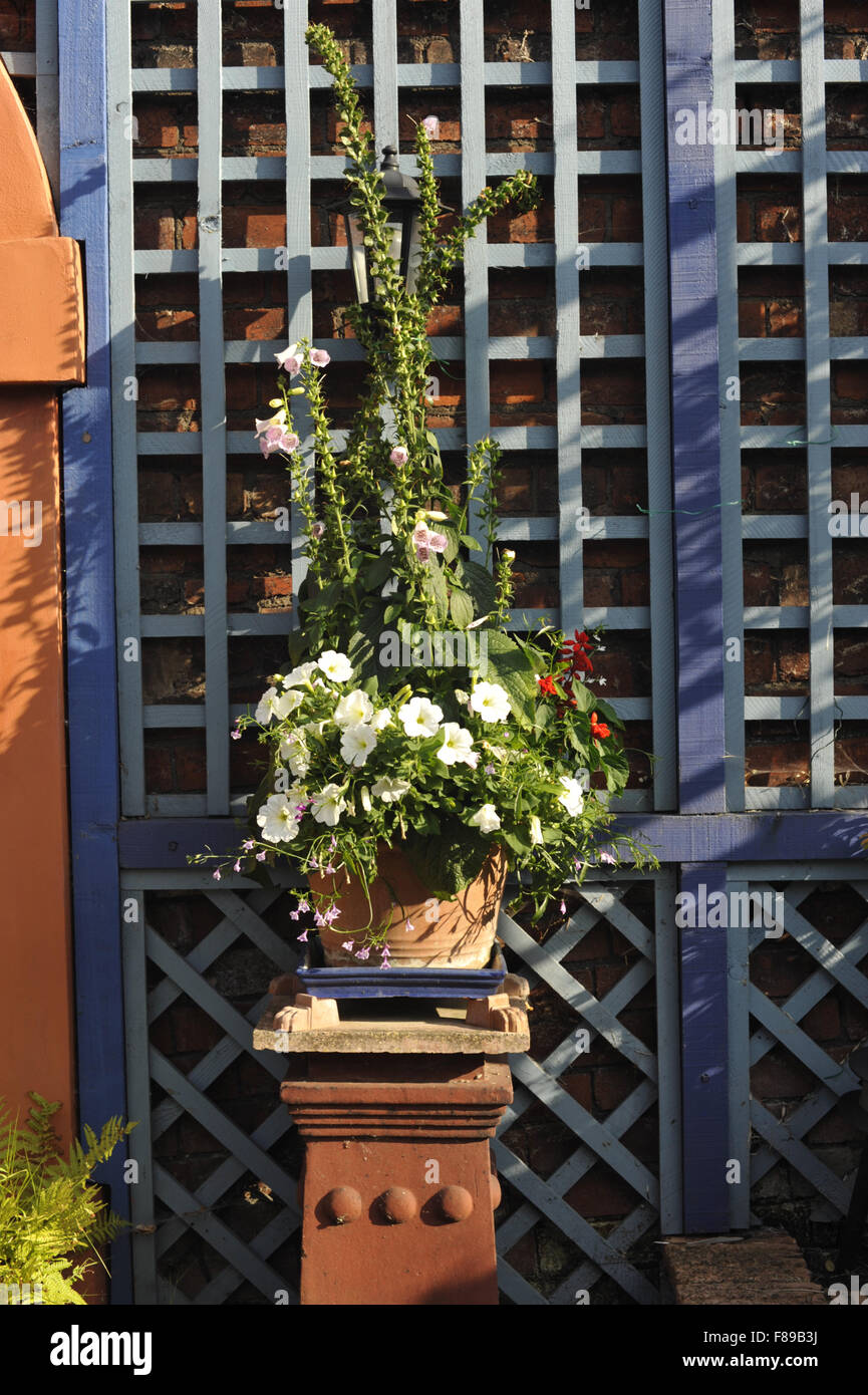 Back garden trellis mirror hi-res stock photography and images - Alamy