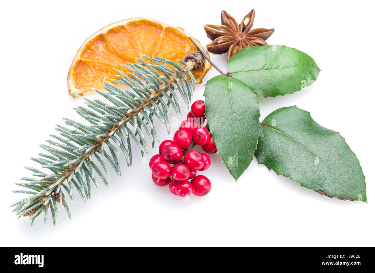 Orange fruit branch corner hi-res stock photography and images - Alamy