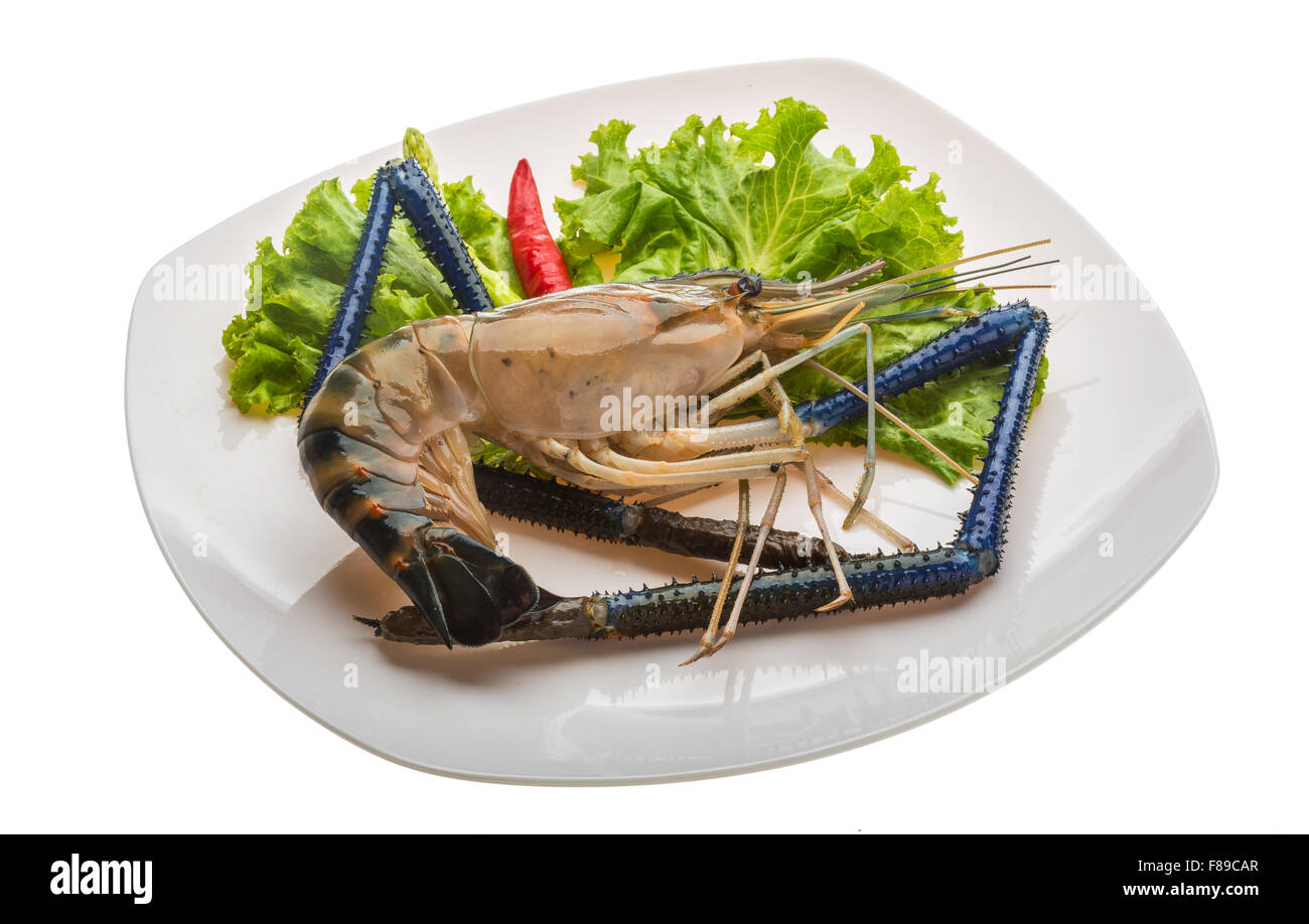 Big Freshwater prawn ready for cooking Stock Photo - Alamy