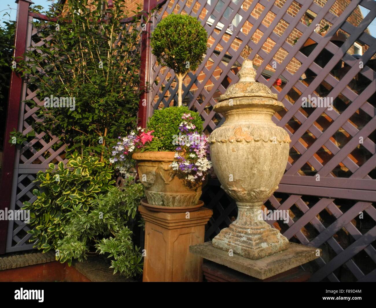 Back garden with trellis and mirror Stock Photo - Alamy