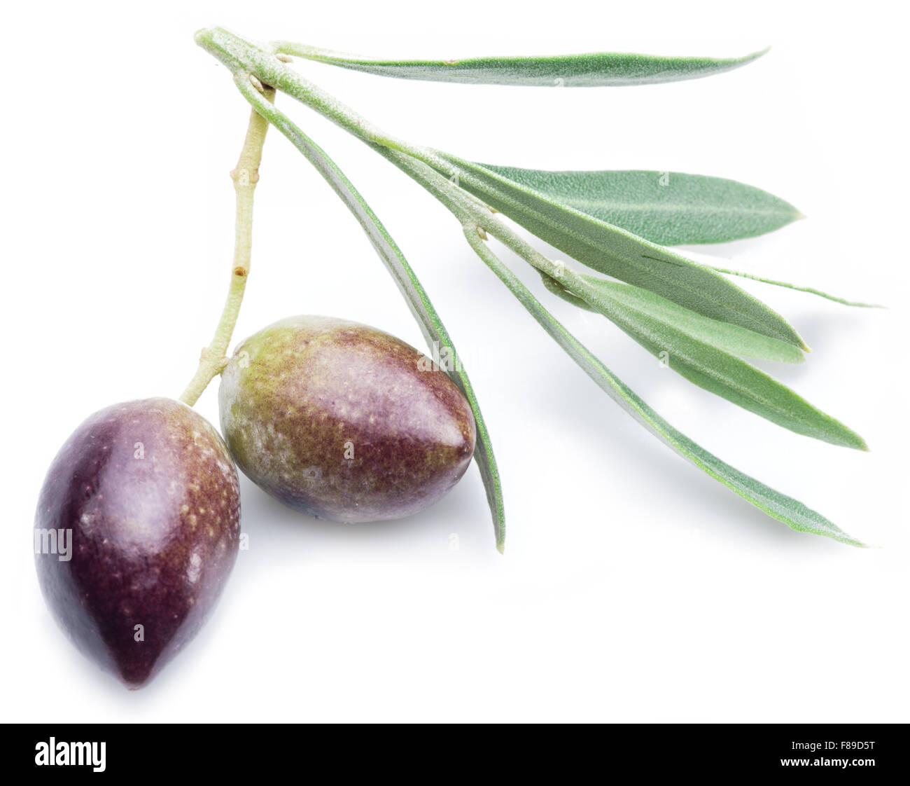 Two fresh olives with leaves on the white background Stock Photo - Alamy