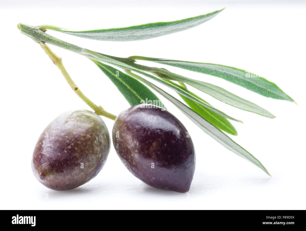 Two fresh olives with leaves on the white background Stock Photo - Alamy
