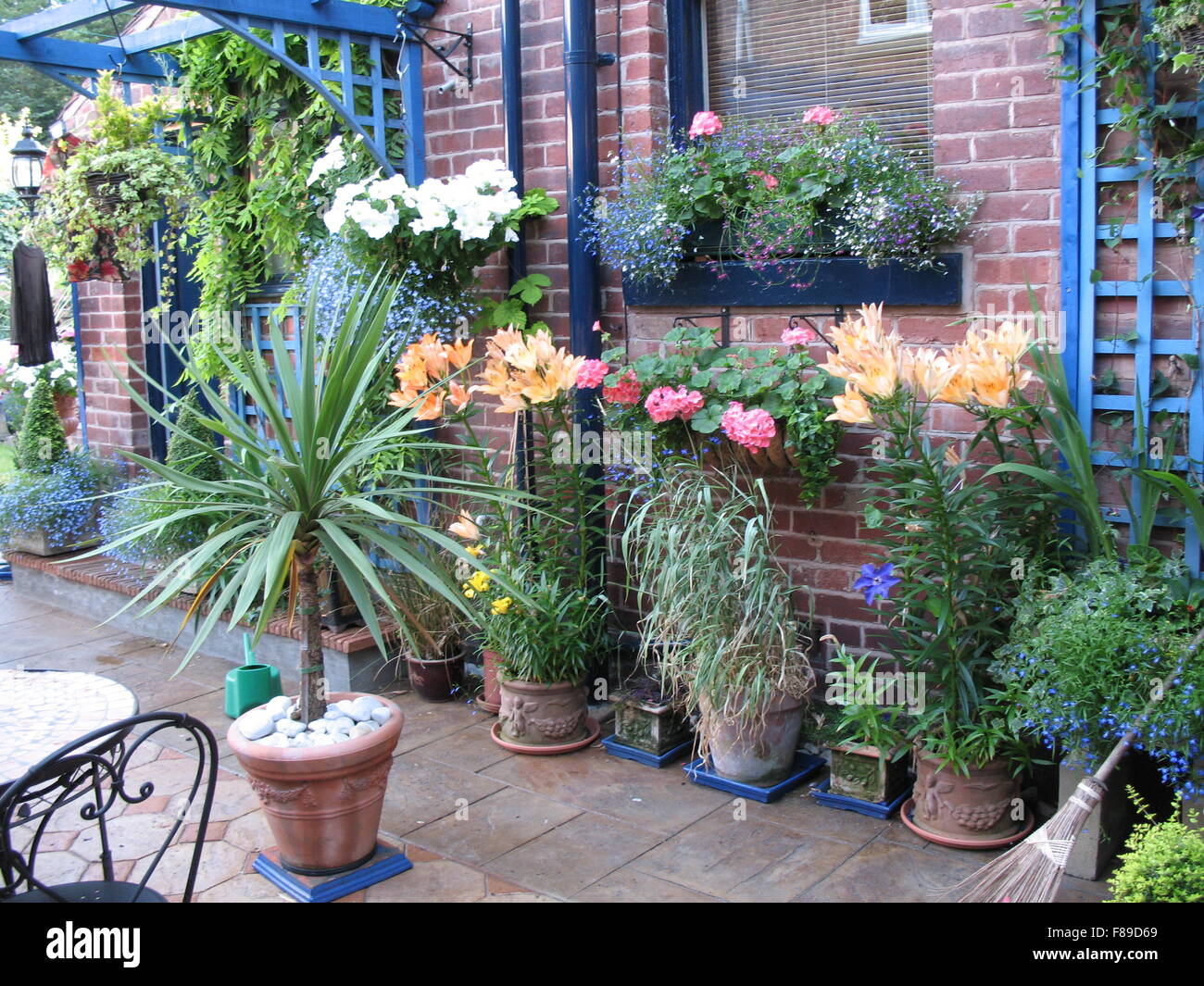 Back garden with trellis and mirror Stock Photo - Alamy