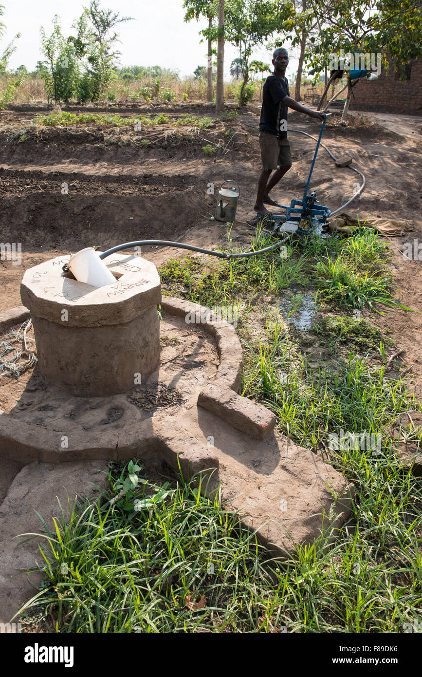 ZAMBIA, Chipata, small scale farmer irrigates vegetable farm with pedal ...