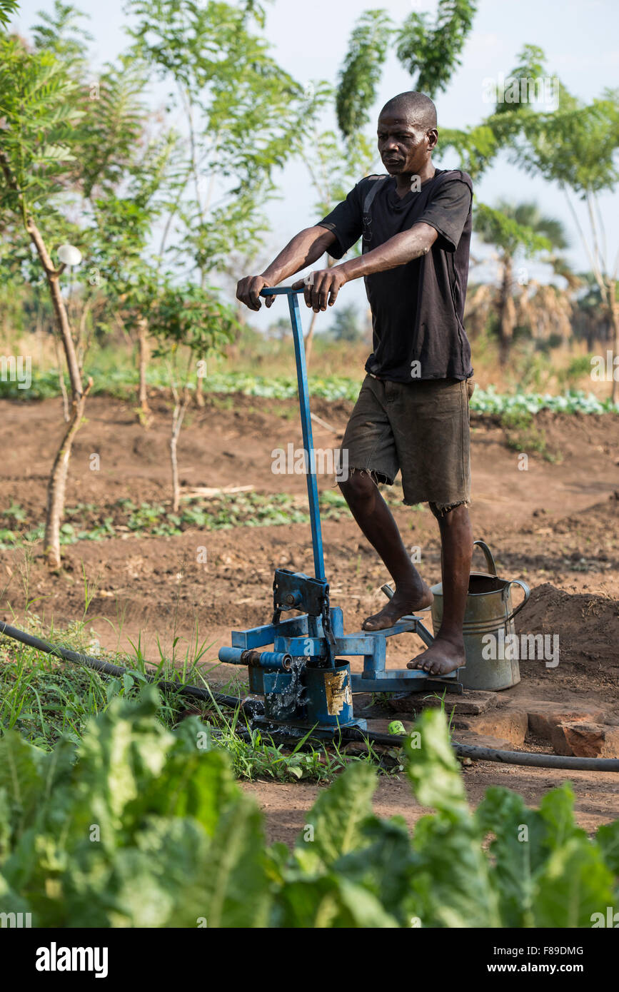 ZAMBIA, Chipata, small scale farmer irrigates vegetable farm with pedal ...