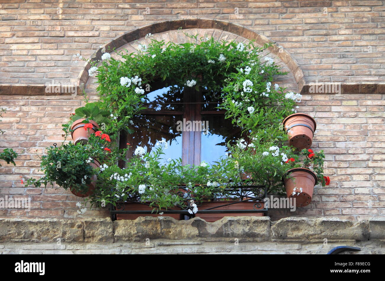 Medieval window with flowers pots in a red bricks wall building Stock ...