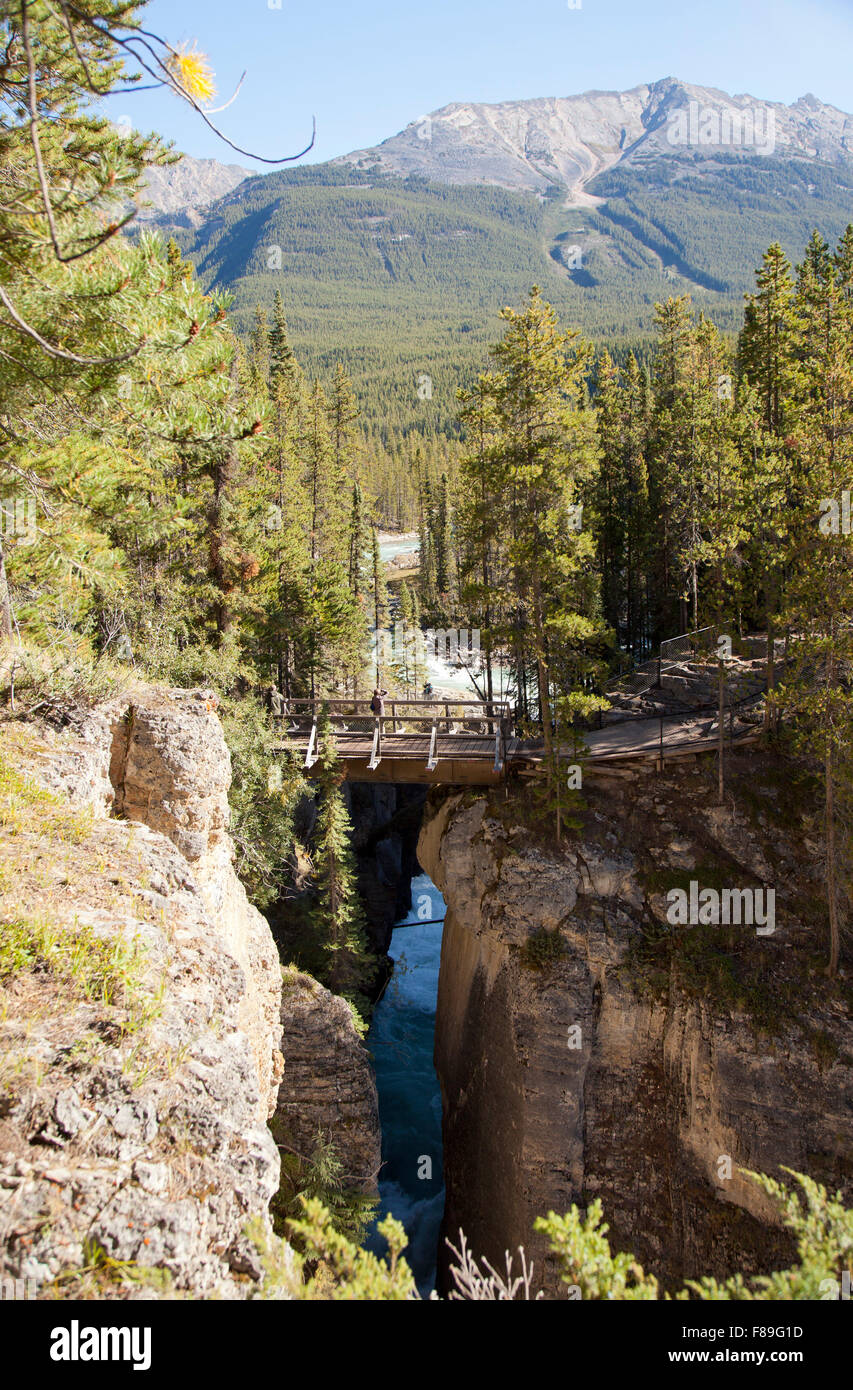 maligne canyon bridge jasper national park alberta Stock Photo - Alamy
