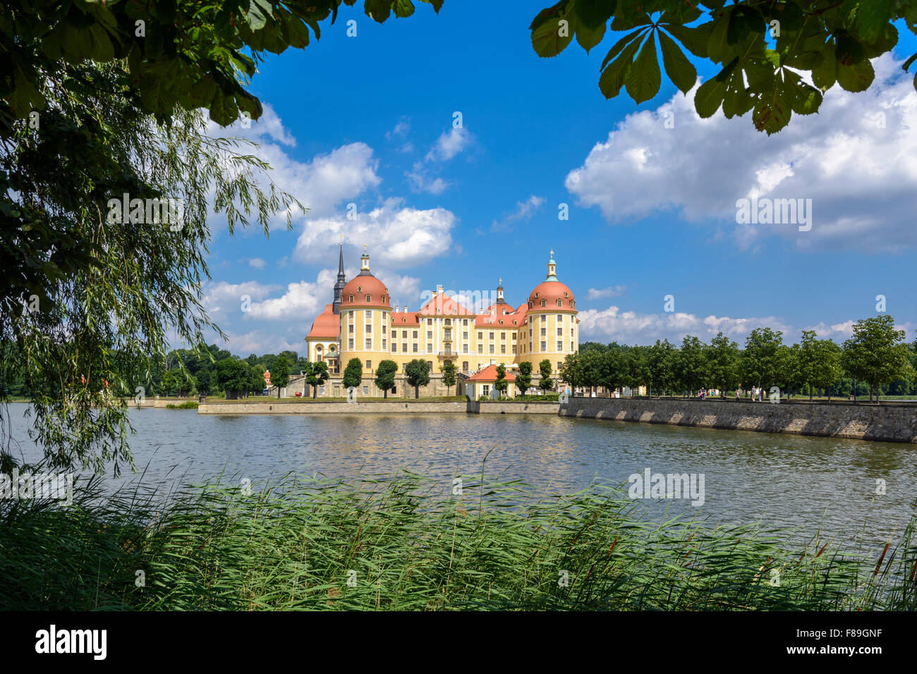 Moritzburg Castle, Saxony, Germany Stock Photo - Alamy
