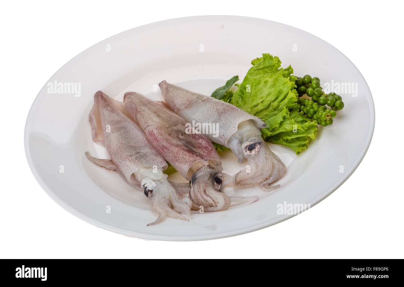 Raw calamari isolated on white background Stock Photo - Alamy