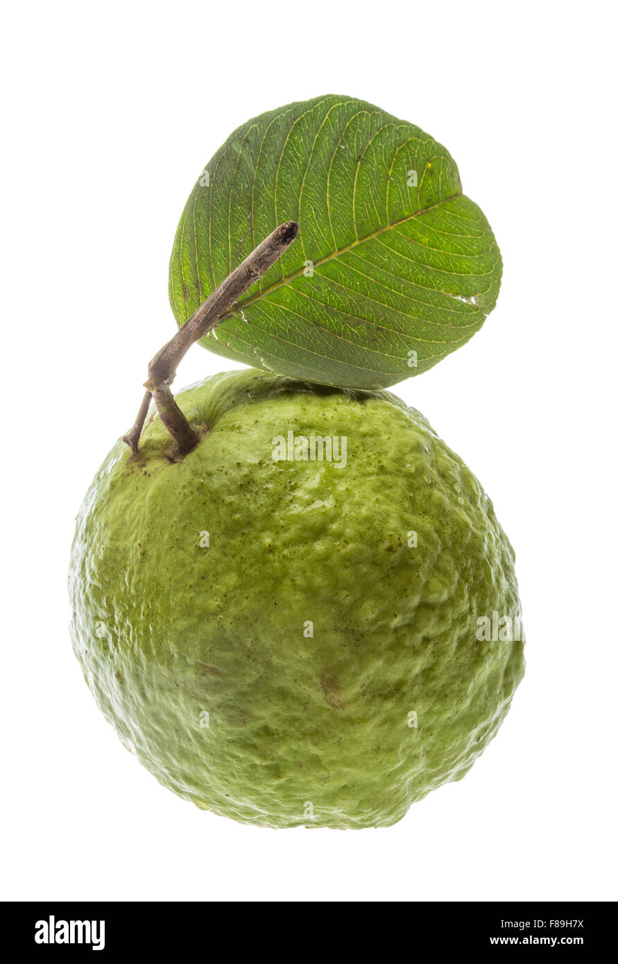 Fresh ripe green guava isolated Stock Photo - Alamy