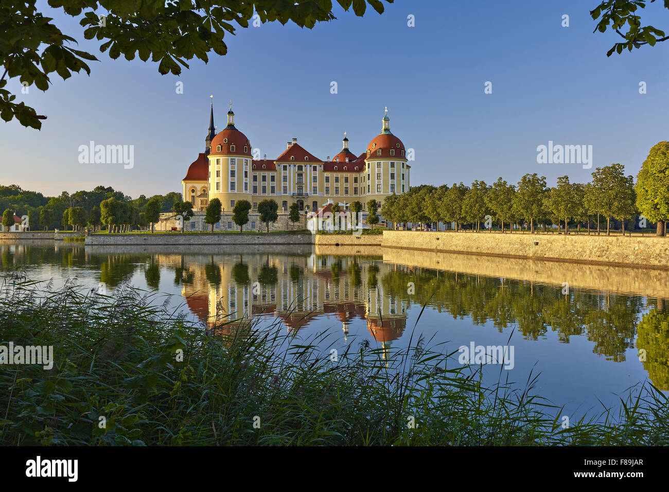 Moritzburg Castle near Dresden, Saxony, Germany Stock Photo - Alamy