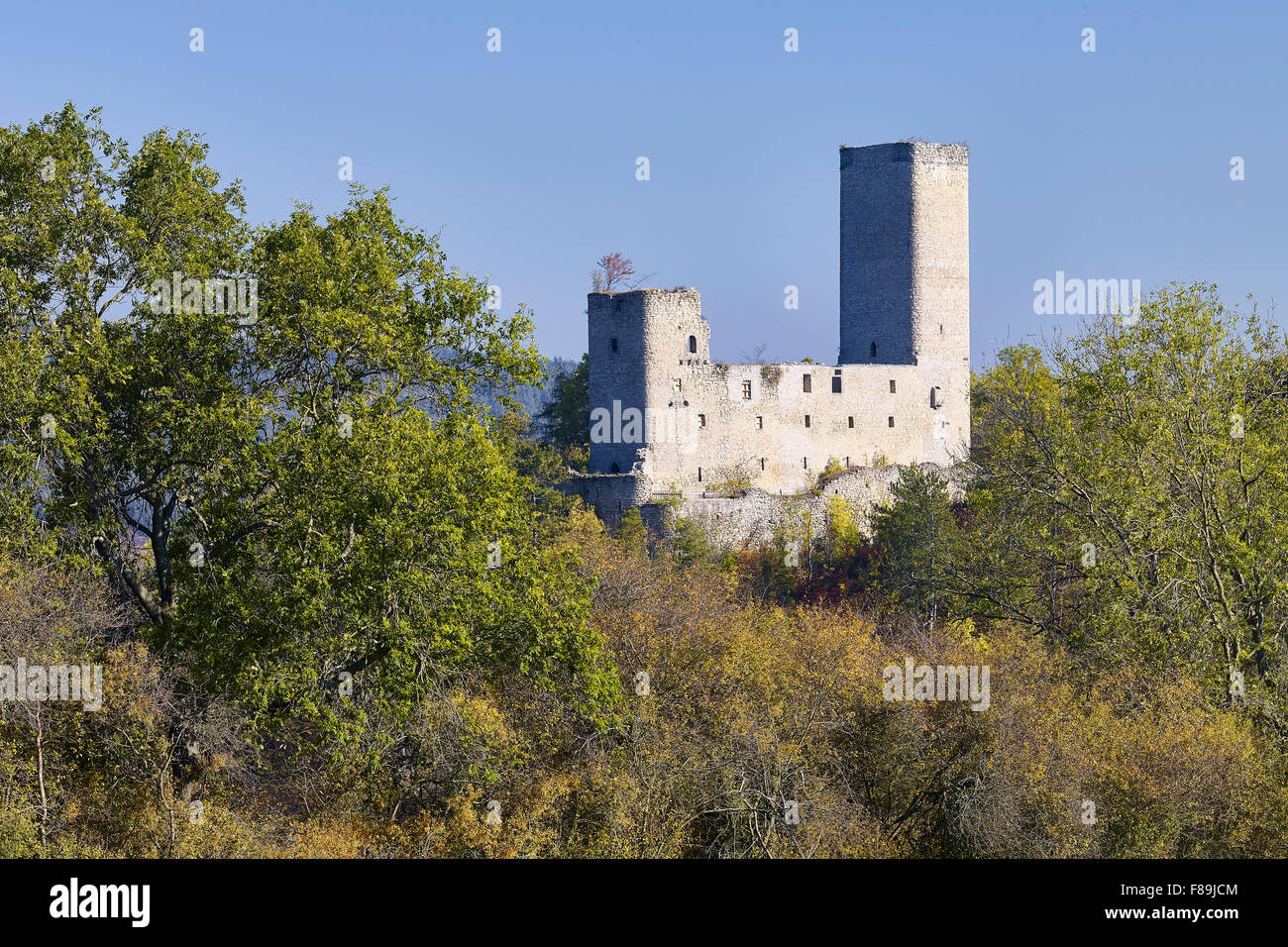 Ehrenstein castle ruin, Thuringia, Germany Stock Photo - Alamy