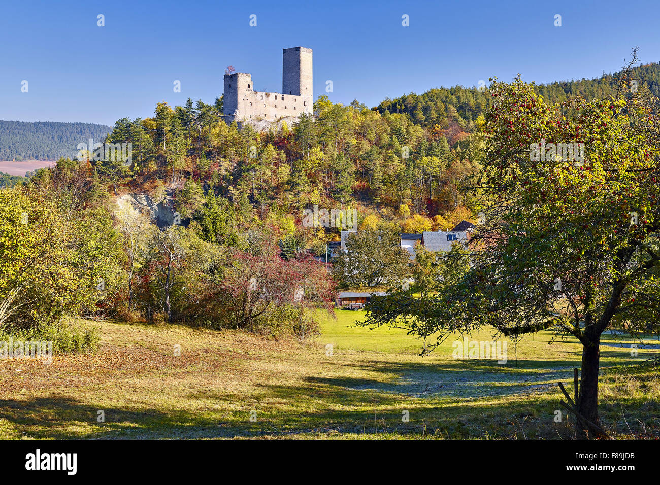 Ehrenstein castle ruin, Thuringia, Germany Stock Photo - Alamy