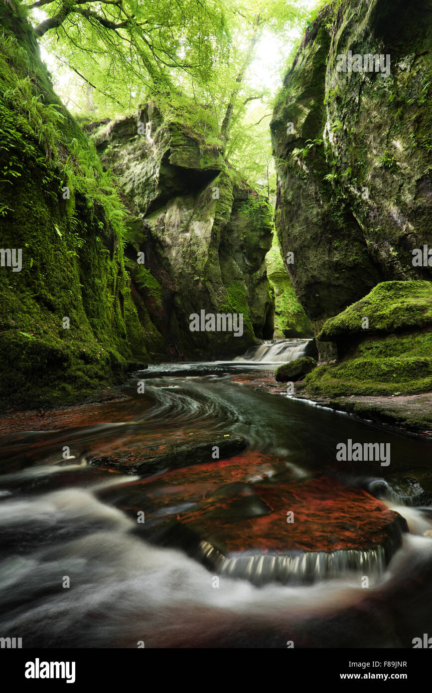 Gorge with small waterfall, Scotland, Europe Stock Photo - Alamy