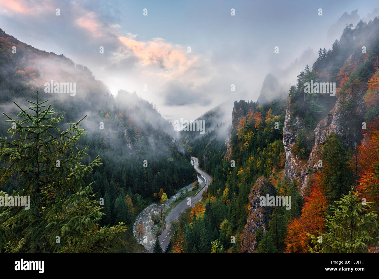 Mountain rivers of the carpathians hi-res stock photography and images ...
