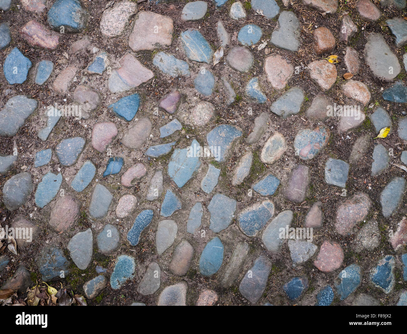 Pebble stone pavement of various colours Stock Photo - Alamy