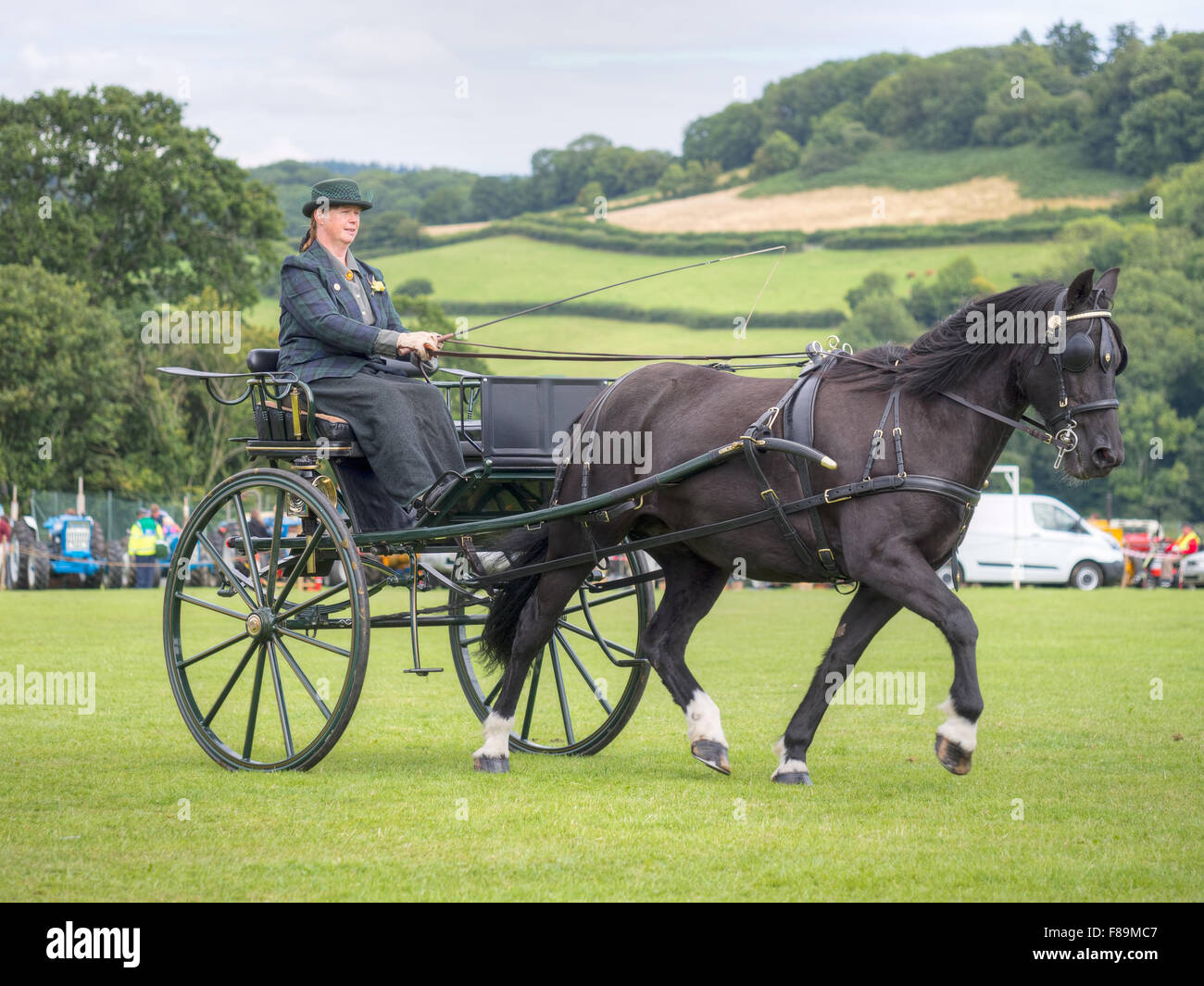 Pony trap hi-res stock photography and images - Alamy