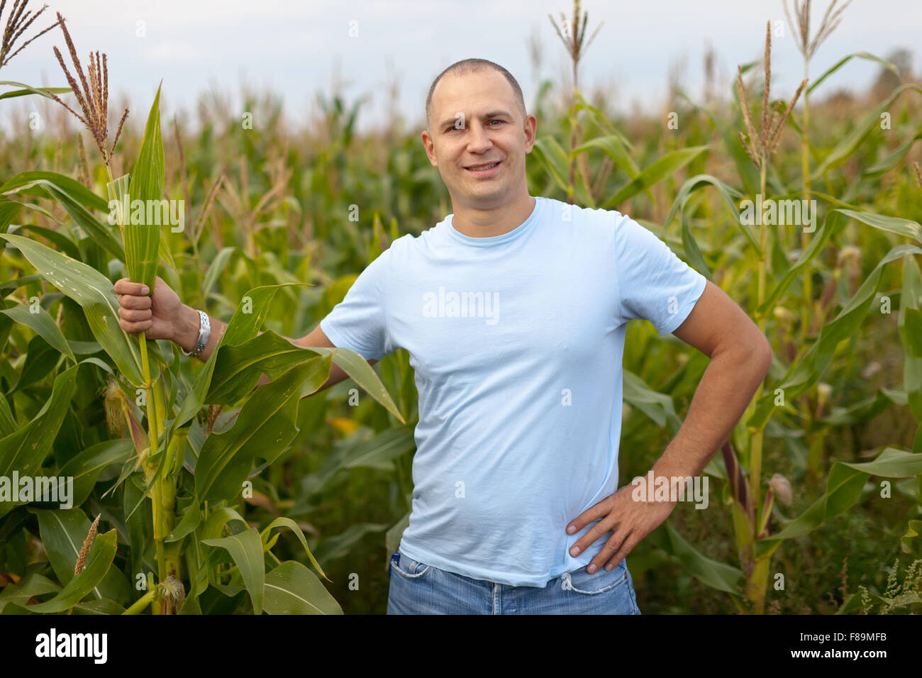 man standing in field of corn Stock Photo - Alamy