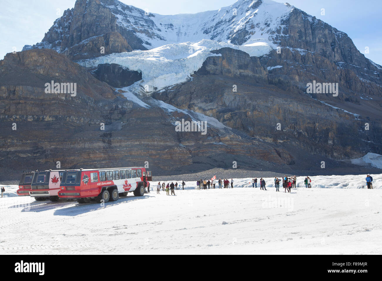 Glacier bus ice explorer banff hi-res stock photography and images - Alamy