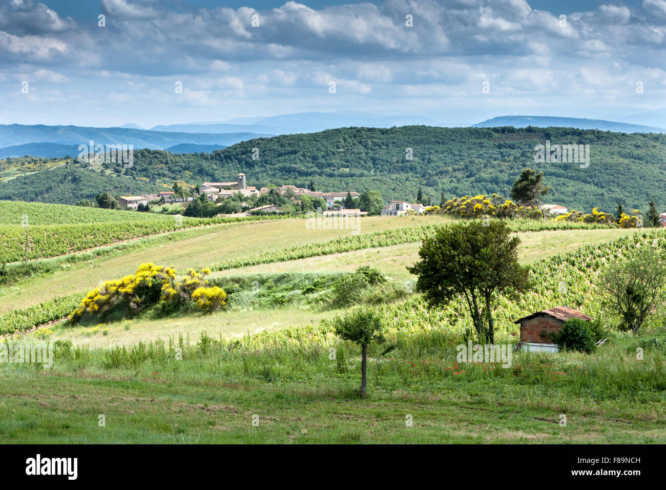 Fields and mountains and village southern France Stock Photo - Alamy