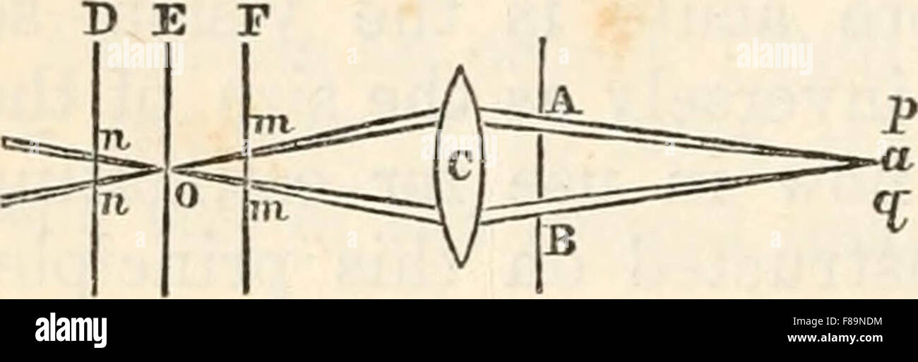 The elements of physiological physics: an outline of the elementary ...