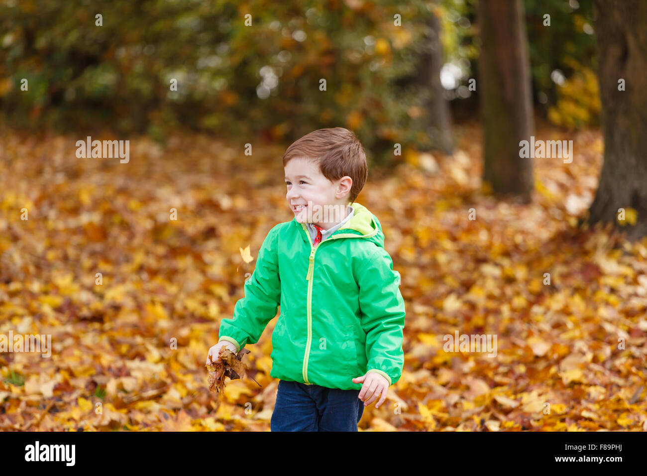 Autumn portrait of cute boy in nature (shallow DOF Stock Photo - Alamy