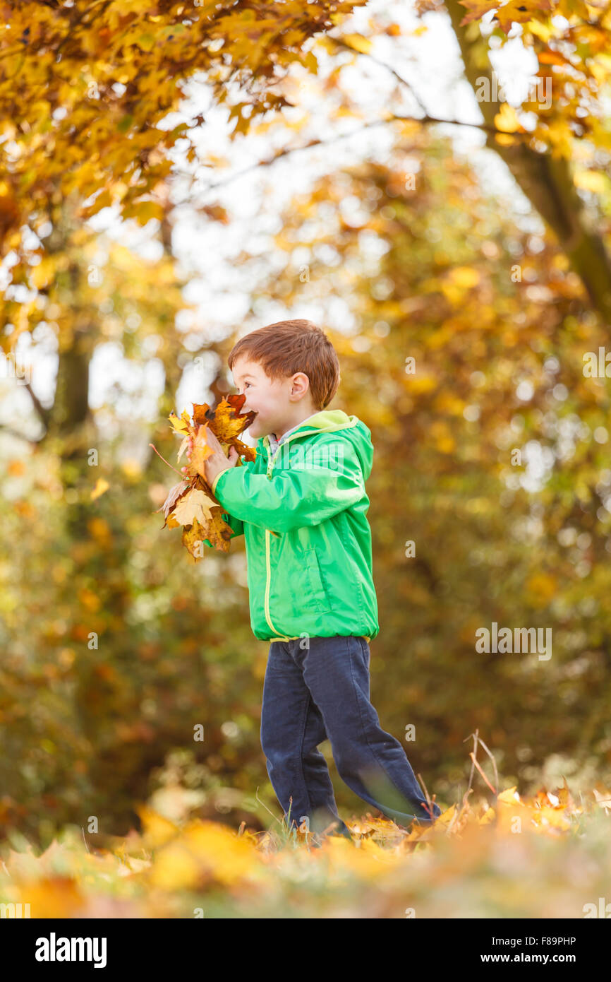 Autumn portrait of cute boy in nature (shallow DOF Stock Photo - Alamy