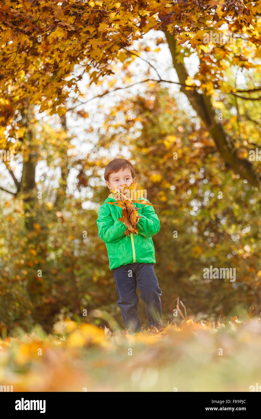 Autumn portrait of cute boy in nature (shallow DOF Stock Photo - Alamy