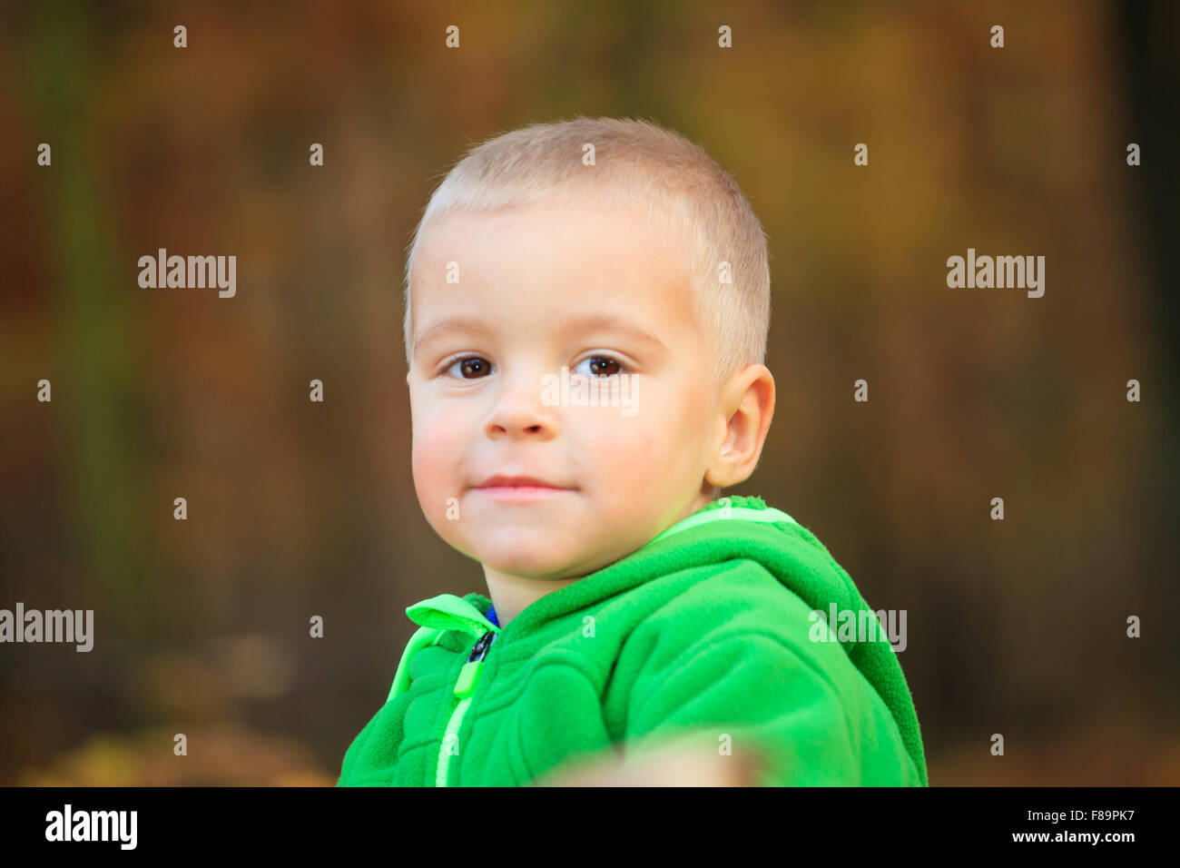 Autumn portrait of cute boy in nature (shallow DOF Stock Photo - Alamy