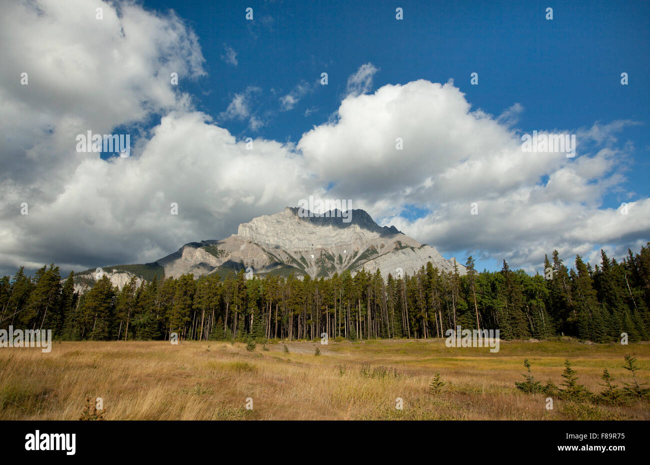 two jack lake area in banff national park alberta canada Stock Photo ...