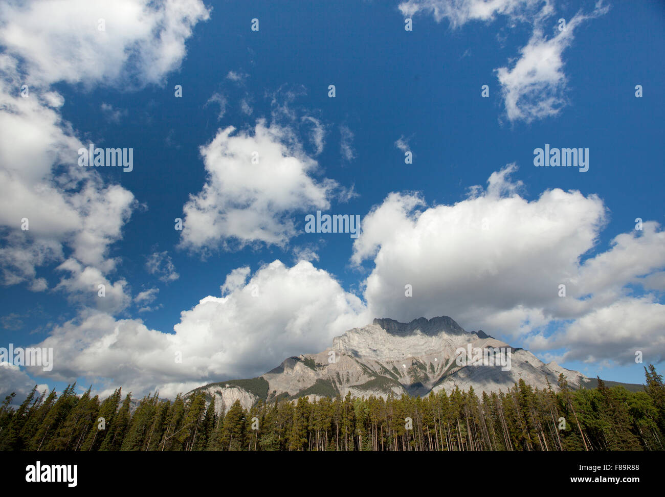 two jack lake area banff national park Stock Photo - Alamy