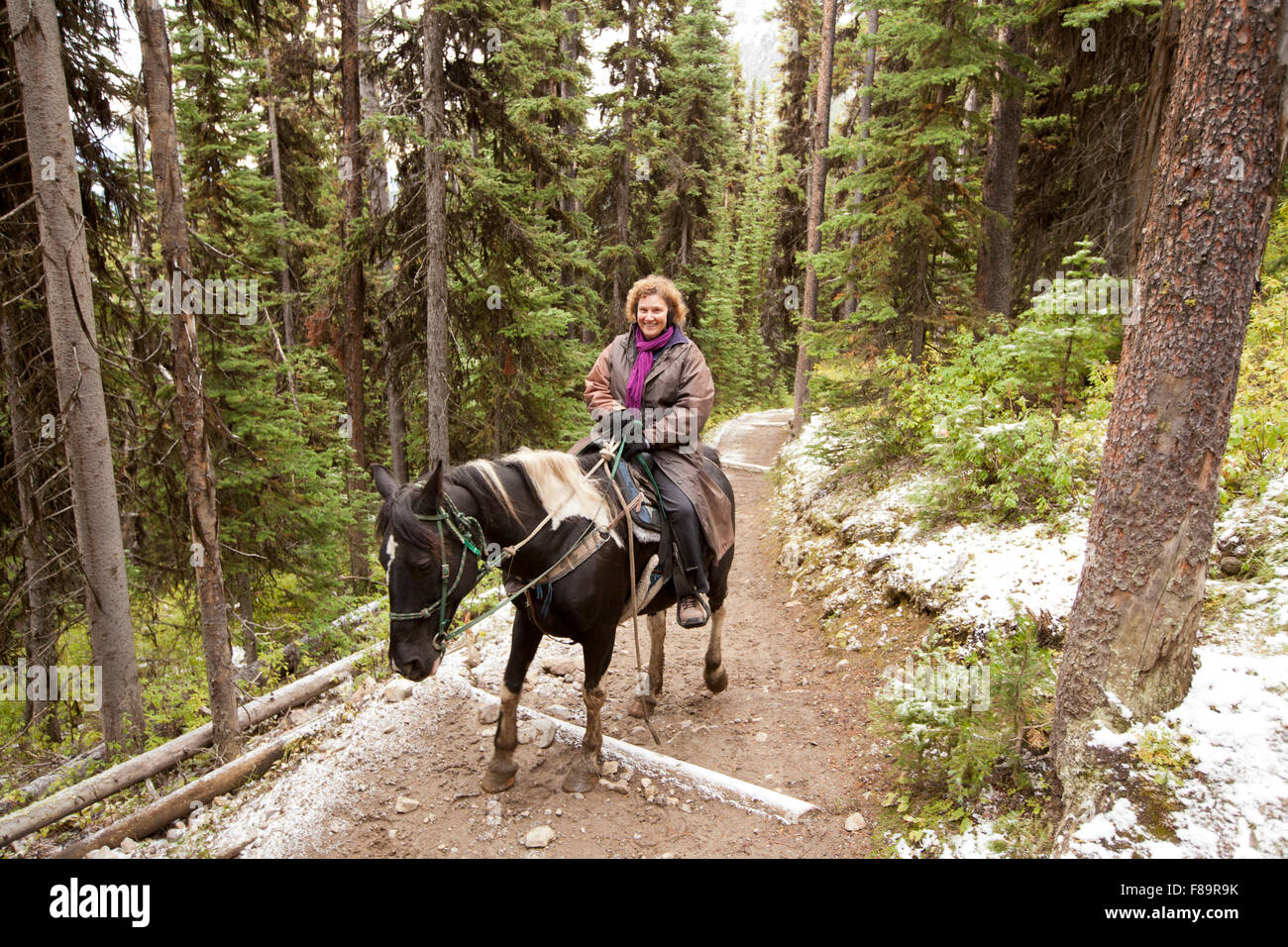 horseback riding through forest trail lake louise alberta Stock Photo ...