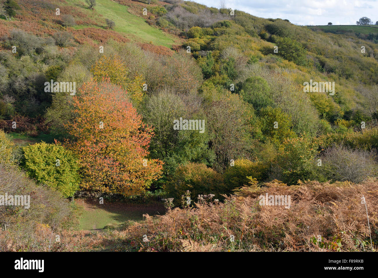 Top colours hi-res stock photography and images - Alamy