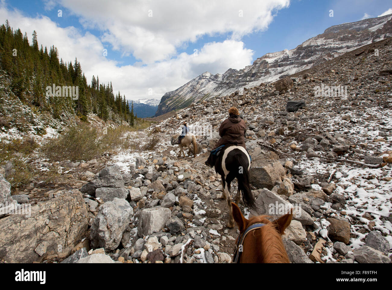Woman riding horse through forest hi-res stock photography and images ...