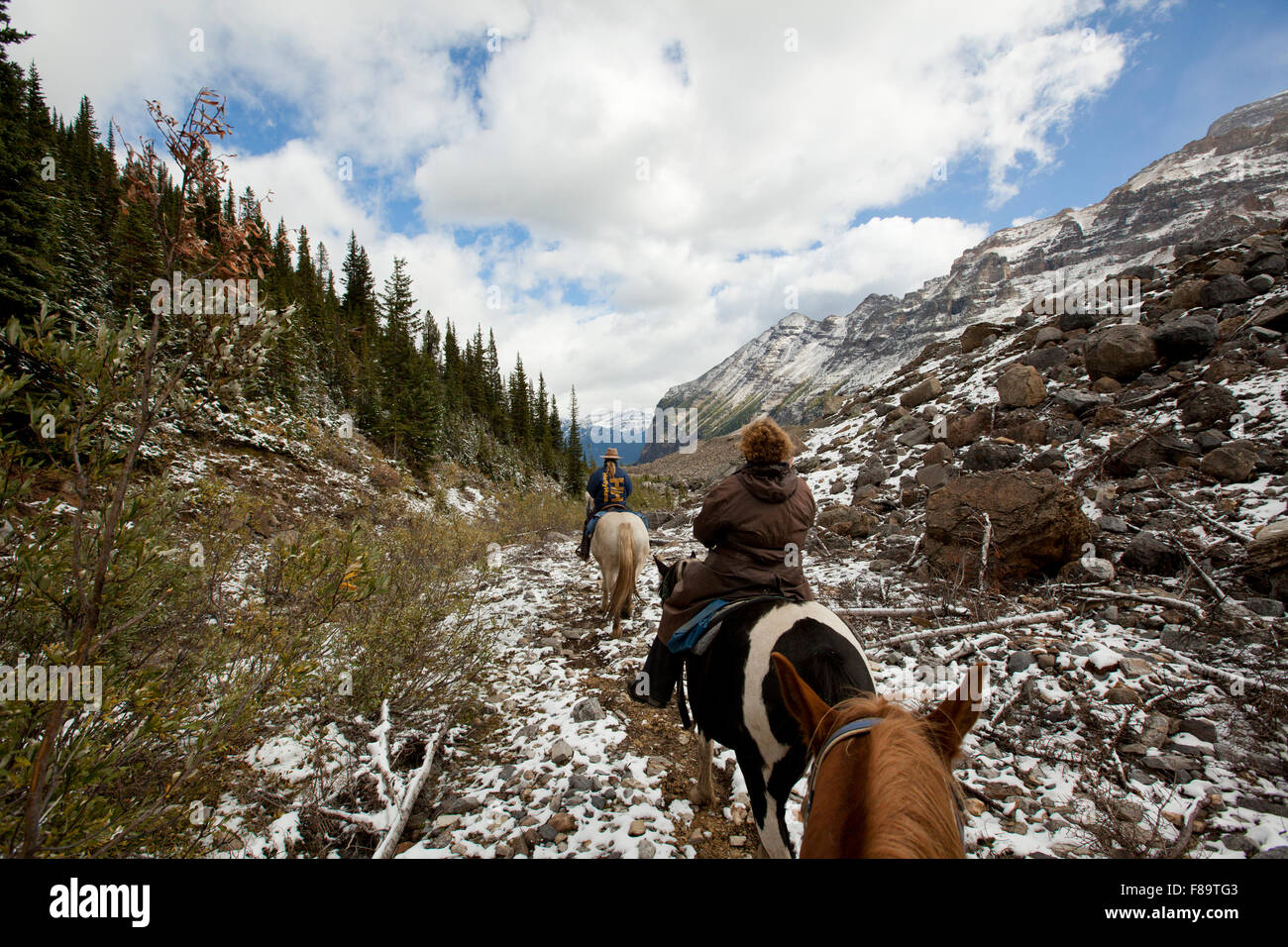 Woman riding horse through forest hi-res stock photography and images ...