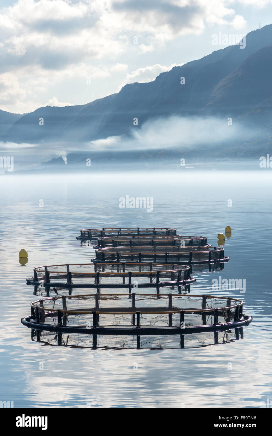 Big Cages for fish farming in Montenegro Stock Photo - Alamy