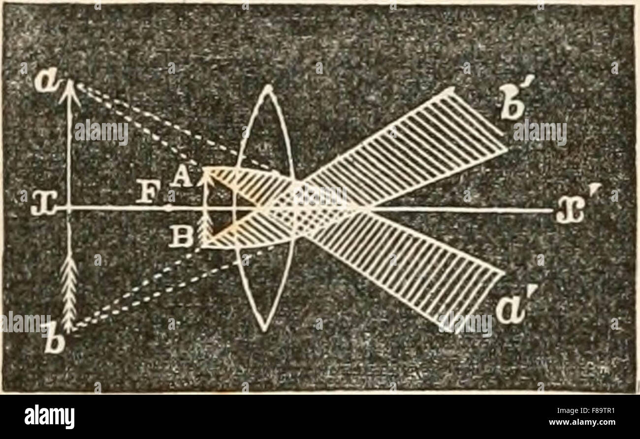 The elements of physiological physics: an outline of the elementary ...