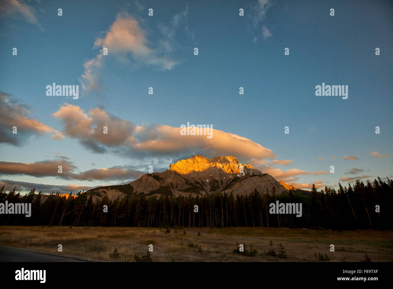 sunrise alpenglow on mount rundle banff alberta Stock Photo - Alamy