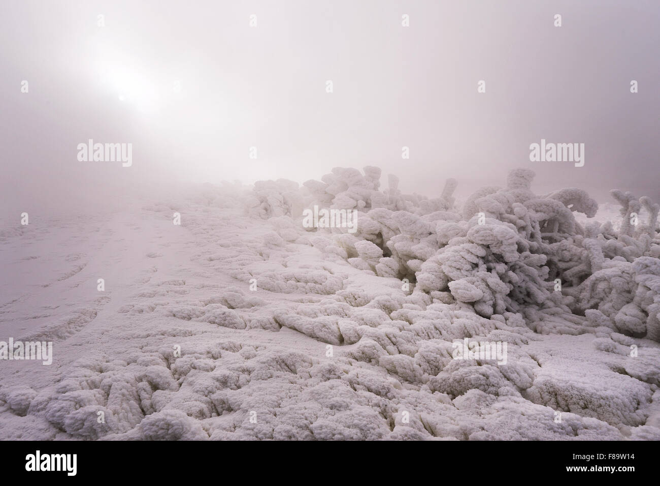 January hi-res stock photography and images - Alamy