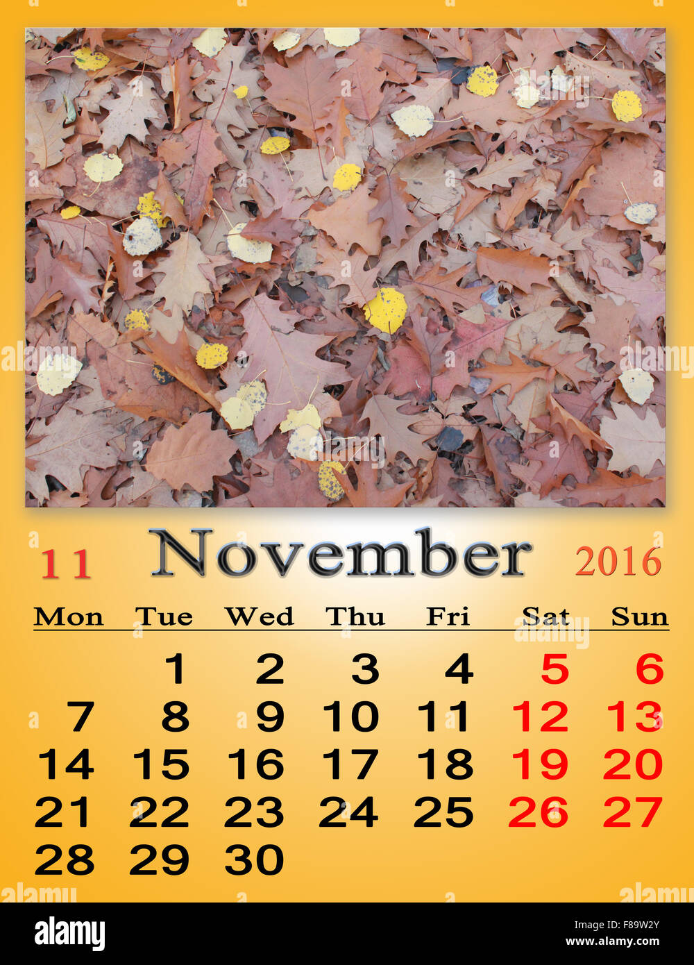 calendar for November 2016 with the ribbon of yellow leaves Stock Photo ...