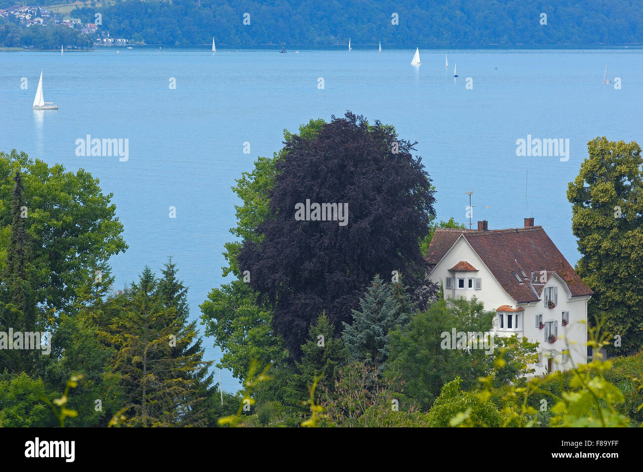 Konstanz, Constance, Bodensee, Lake constance, Baden-Wuerttemberg ...