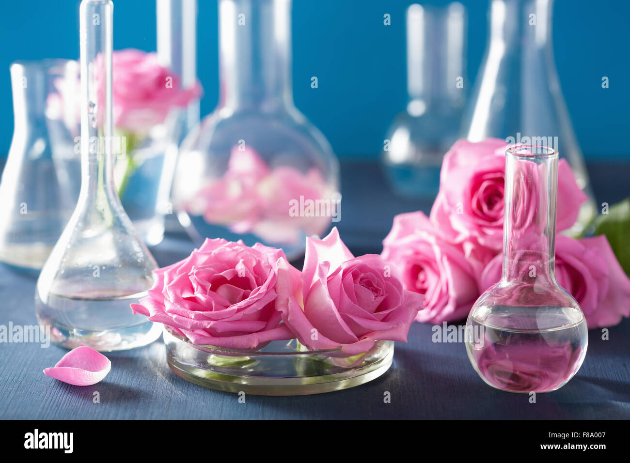 alchemy and aromatherapy with rose flowers and chemical flasks Stock ...
