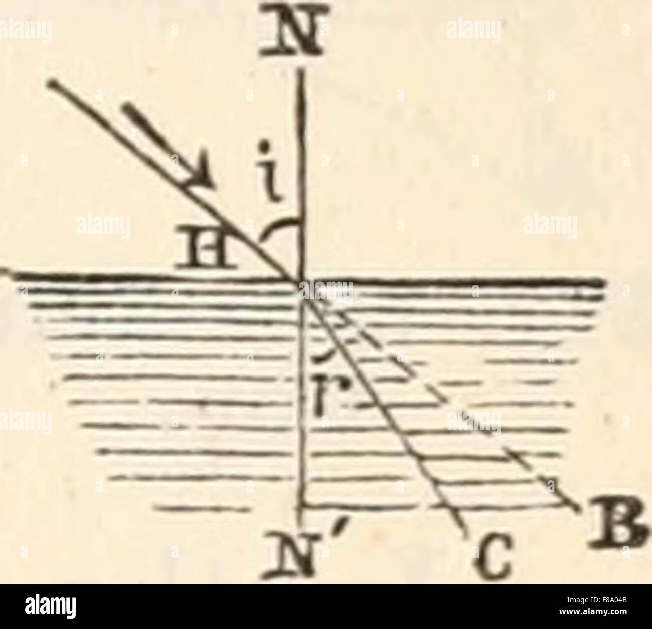 The elements of physiological physics: an outline of the elementary ...