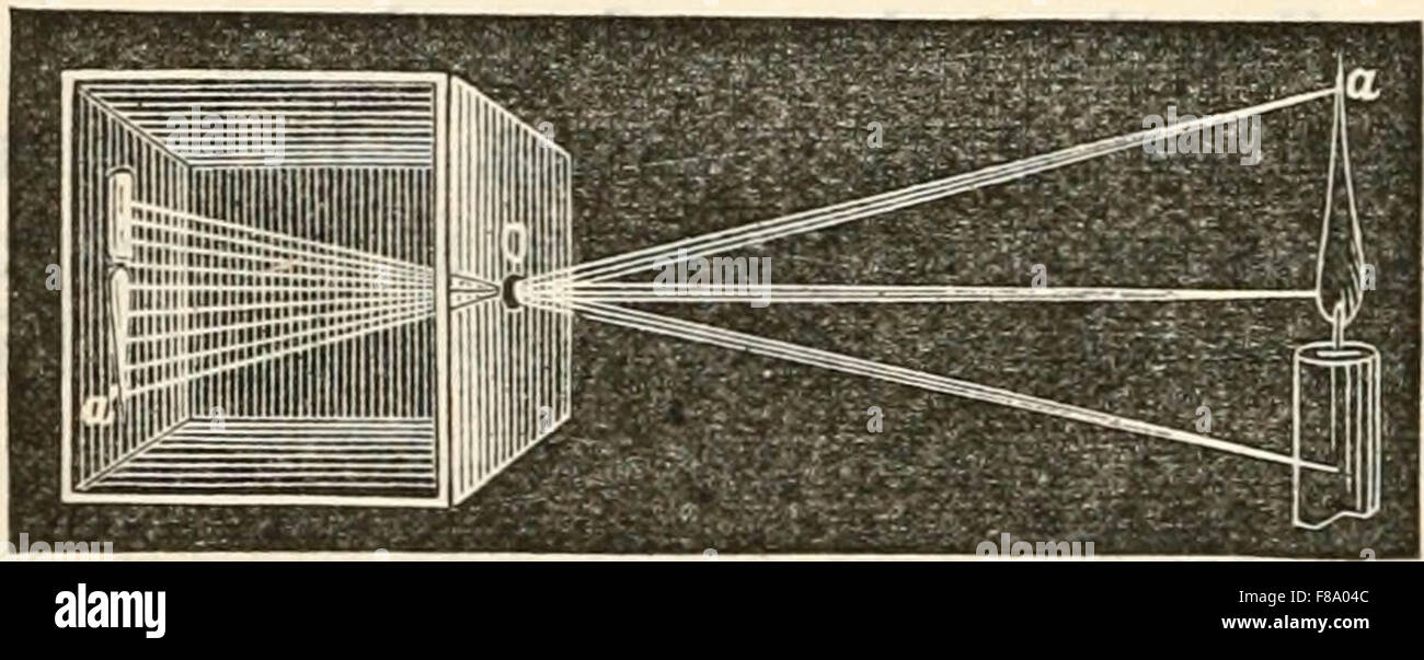 The elements of physiological physics: an outline of the elementary ...