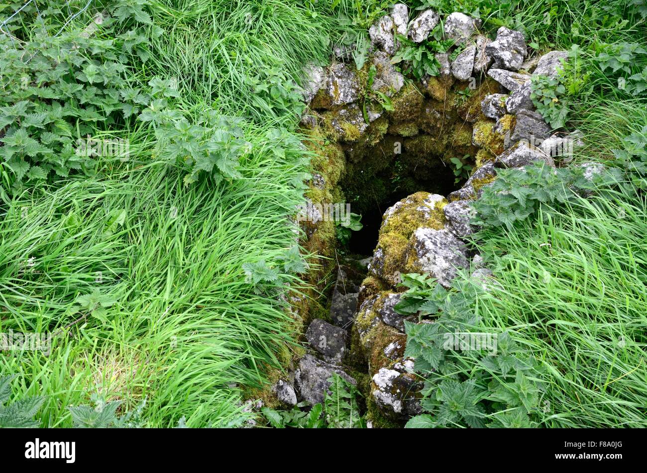 Holy Well And Ireland High Resolution Stock Photography and Images - Alamy