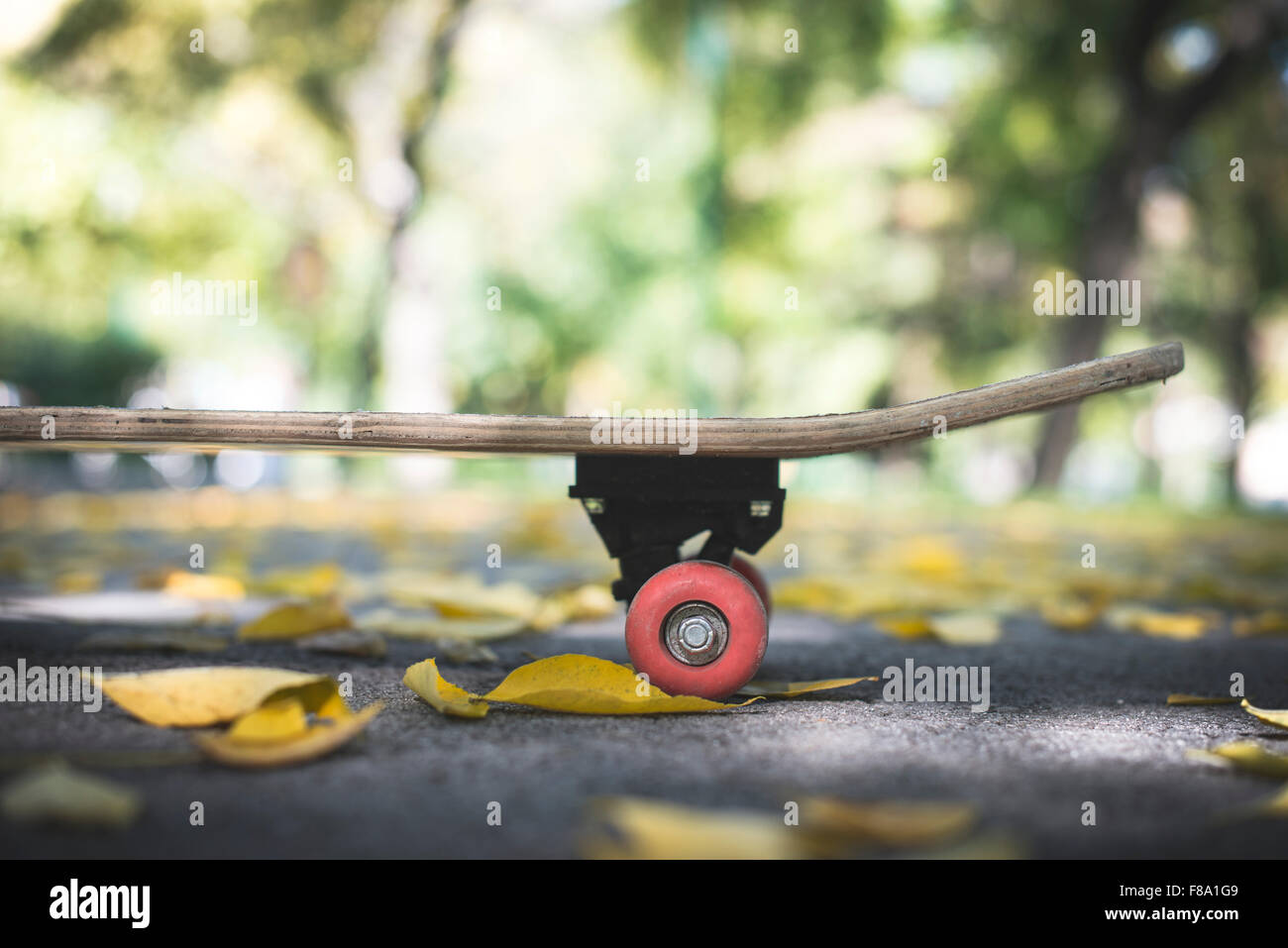 Skateboard in the park during autumn. Close up Stock Photo - Alamy